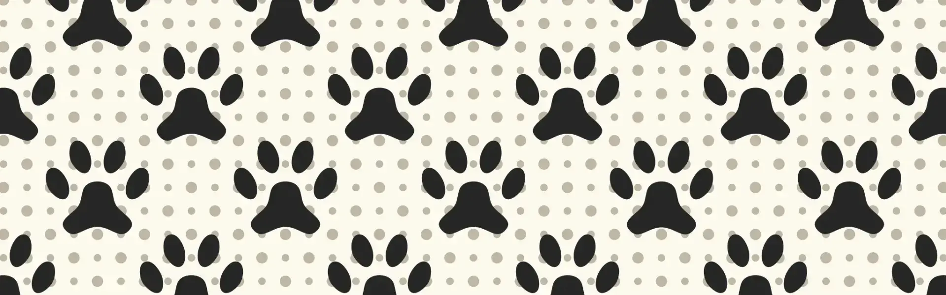 Same Day Appointments! | Red Bluff Animal Hospital