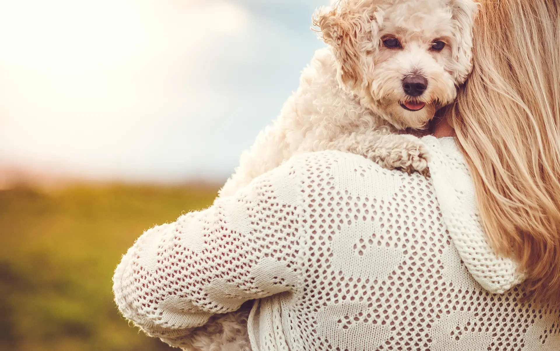 Urgent Pet Care Essentials: Keeping Your Furry Friend Safe in Deer Park ...